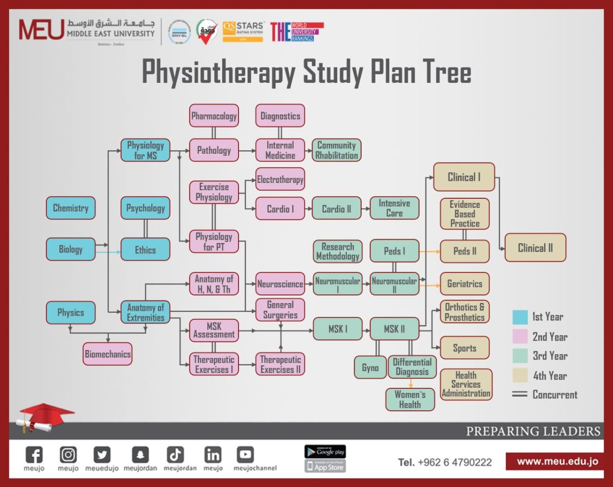 Tree plan physiotherapy study plan – Middle East University